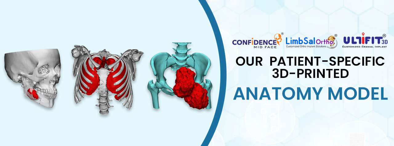 Anatomy Model | 3DIncredible